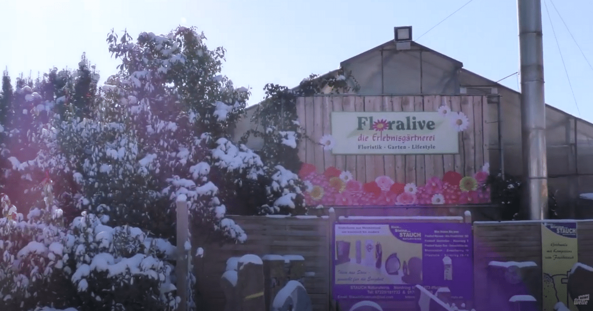 Die Gärtnerei Floralive im Lockdown | die neue welle